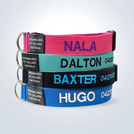 Embroidered Pet Collars (Dog Collar with Name Tag Embroidery ...