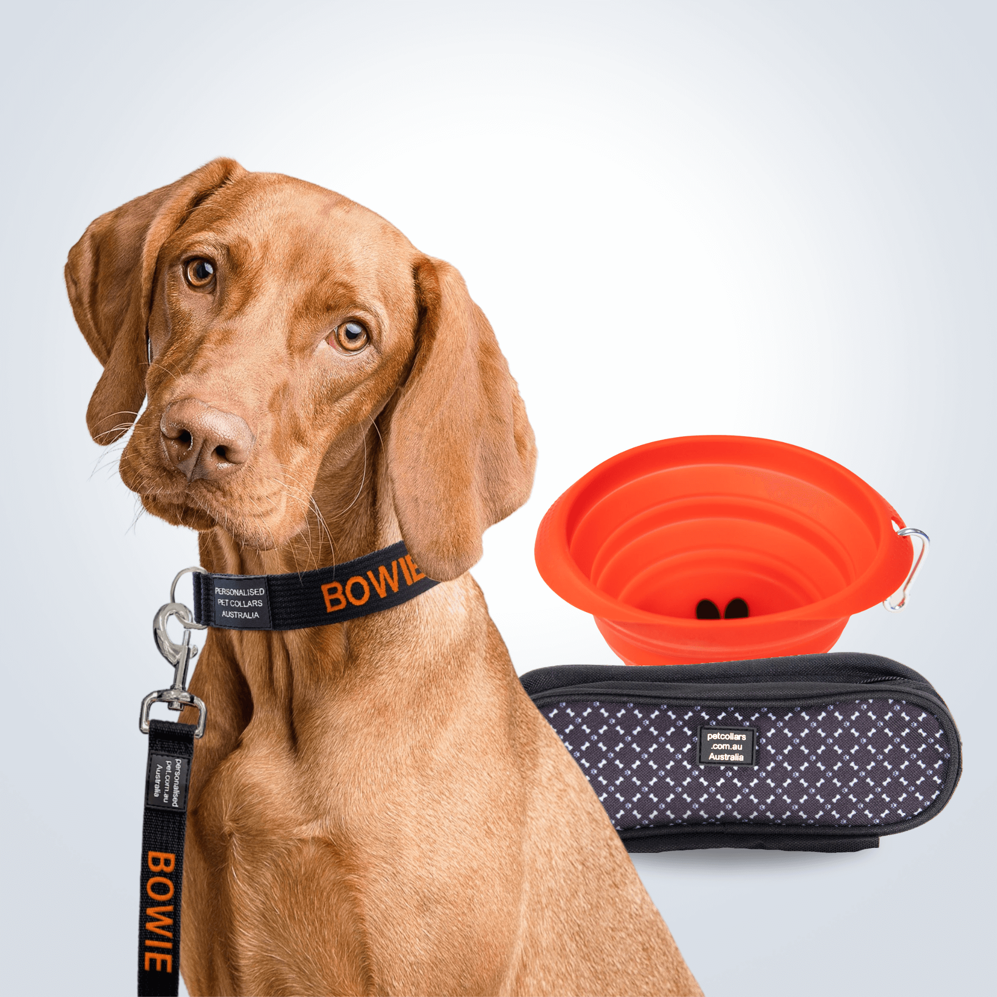 Walking Super Bundle Large Complete Pet Walking Set
