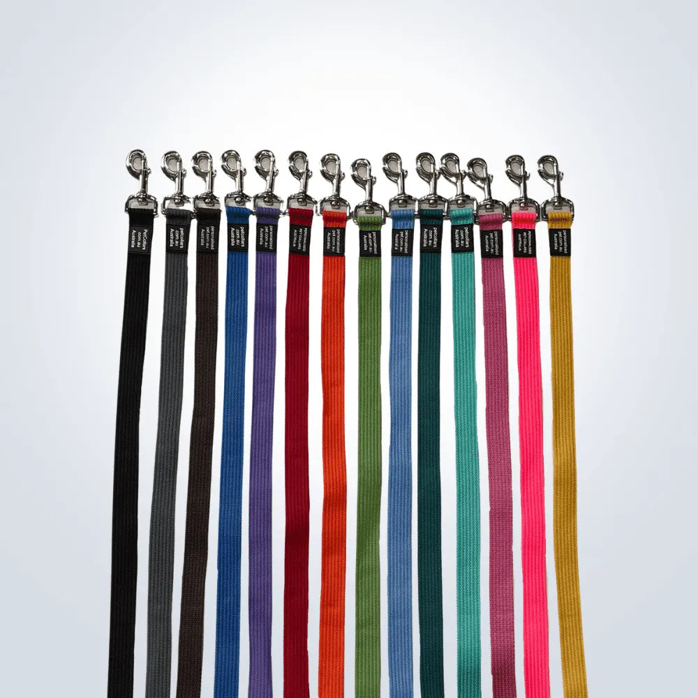 Dog LEADS AND COLLARS Medium - Bundle – PetCollars.com.au